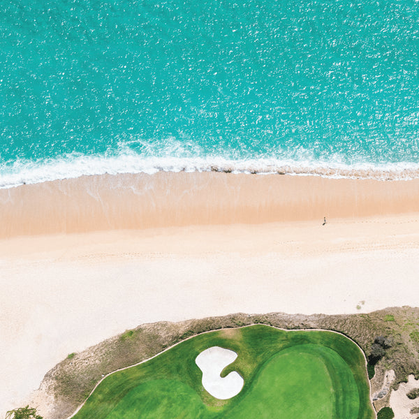 Gray Malin x Recess | Limited Edition Pickleball Paddles